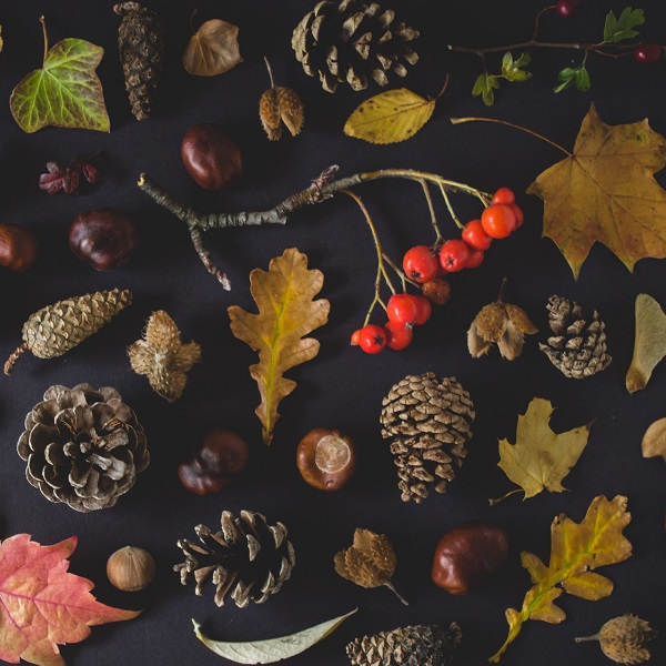 Winter Outdoor Play for Early Years and Primary | Ideas from Canopies UK